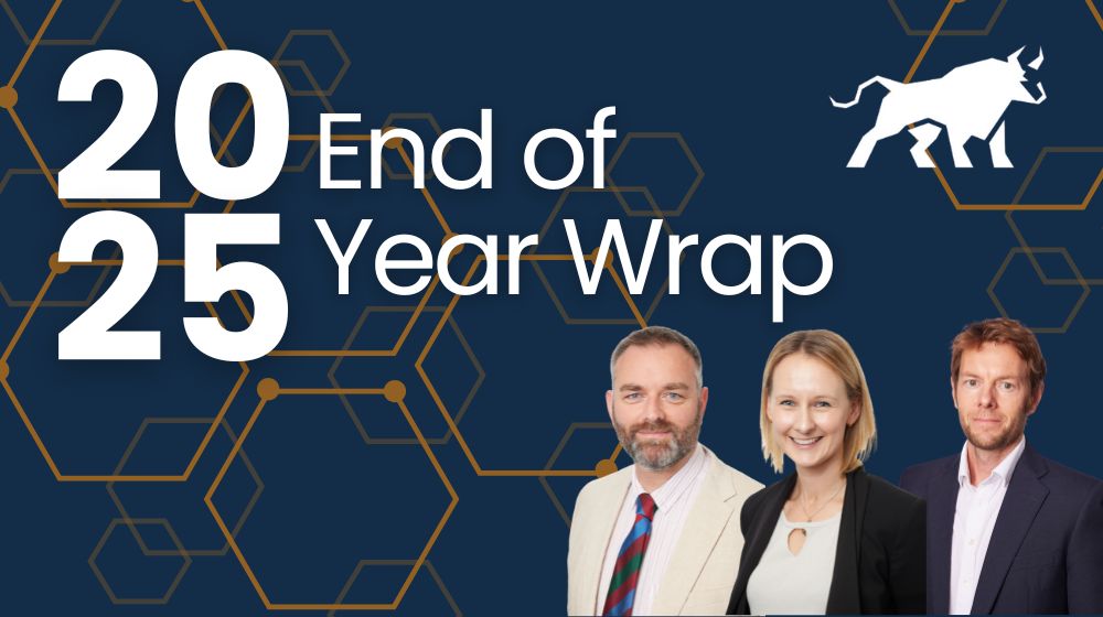 2025 end of year wrap up - Toro